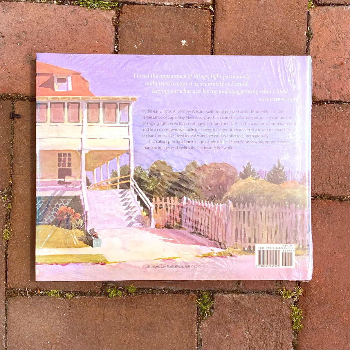 Alice Steer Wilson: Light, Particularly – macmuseumshop